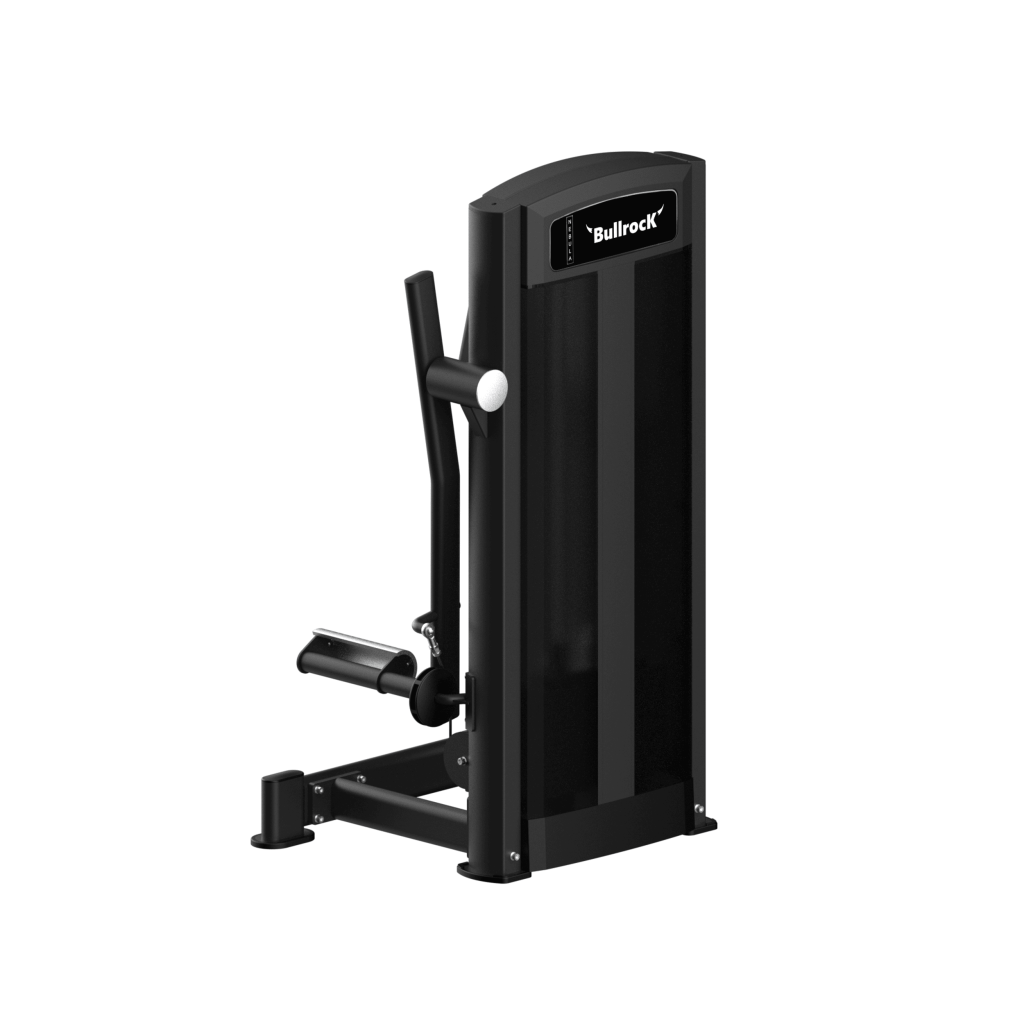 Leg Press Hack Squat Combo Pro - BullrocK Fitness
